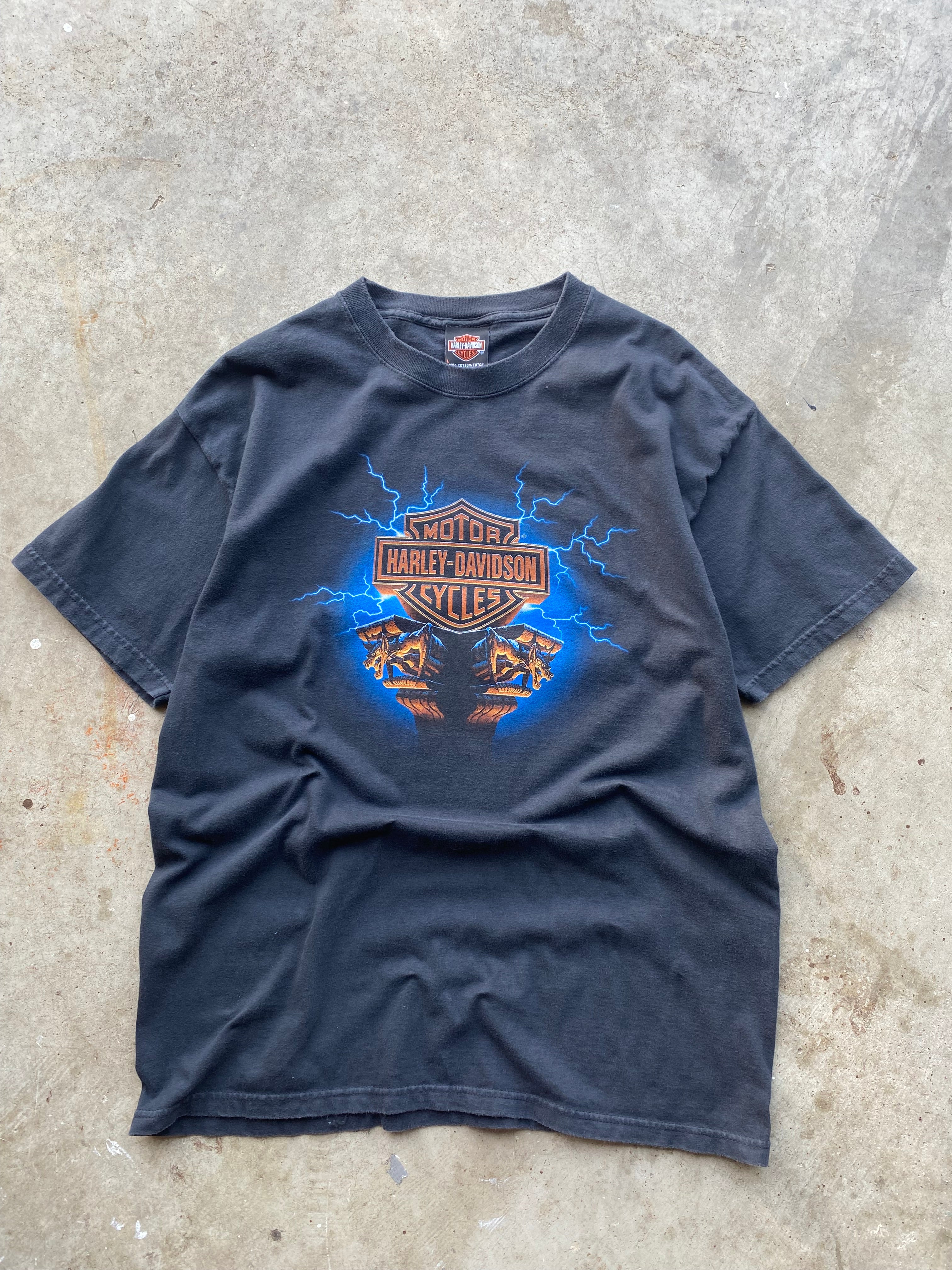 Vintage Gargoyle Lightning Harley Davidson Shirt Large – Easter Island ...